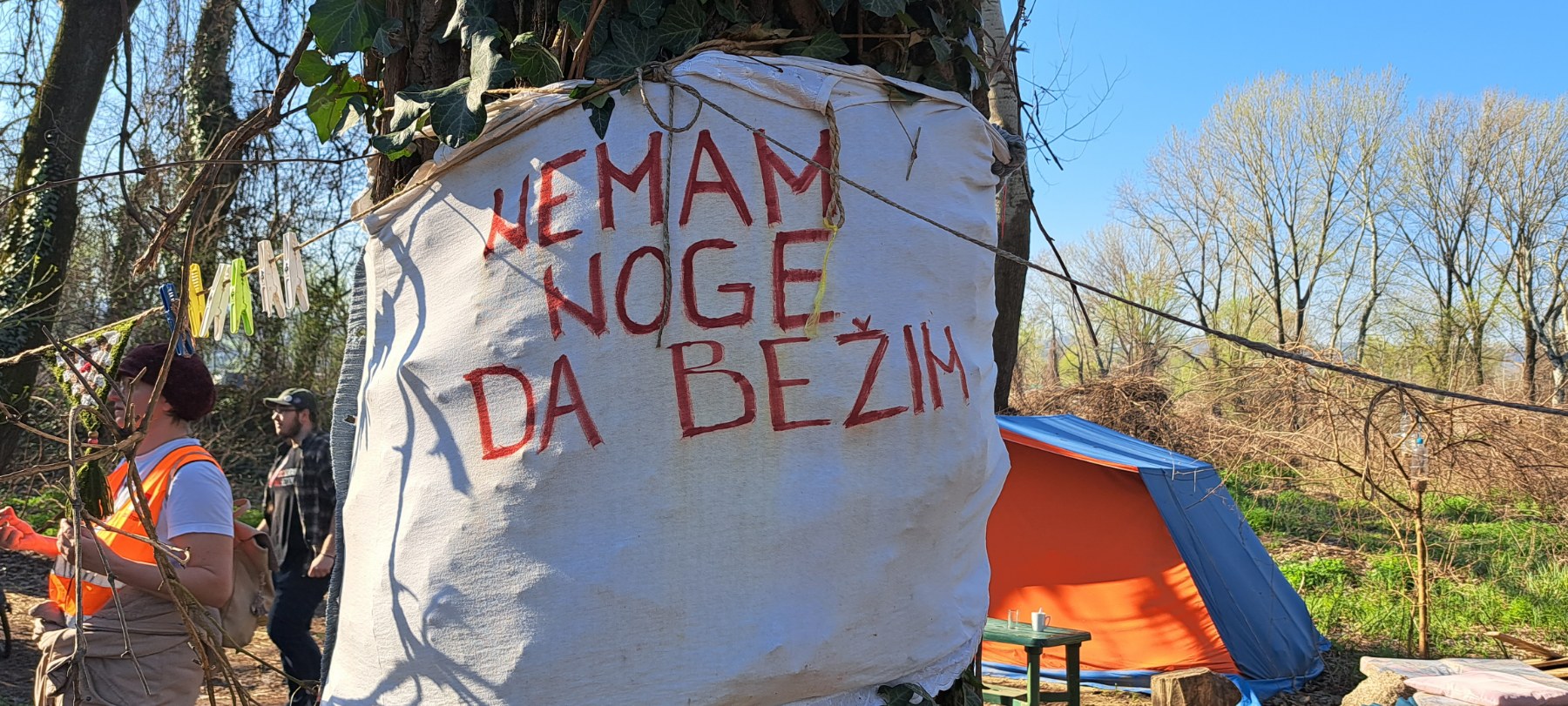 Seča šume na Šodrošu: Krčenje drveća u već ugroženoj Vojvodini