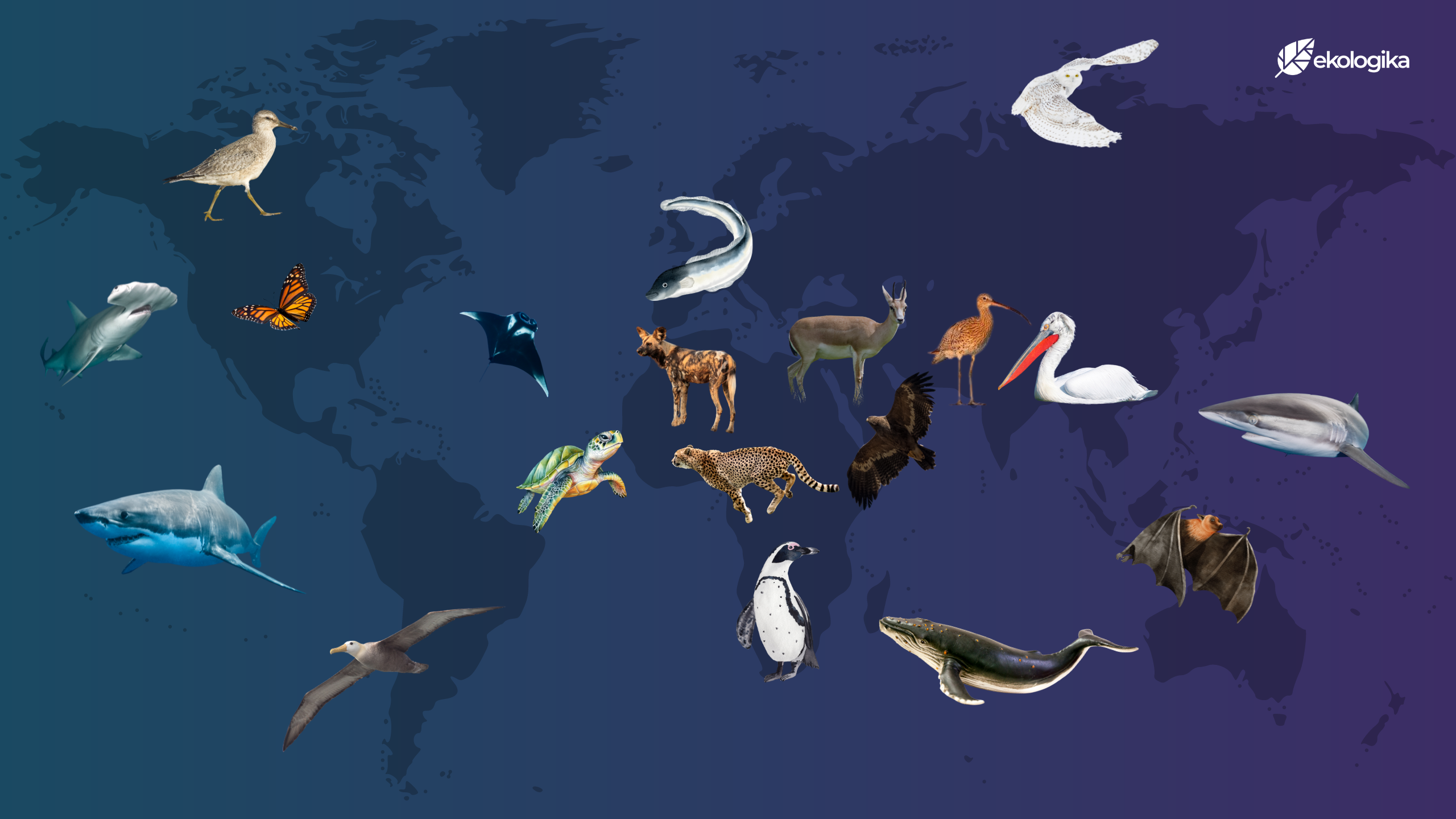 Koje životinje izumiru: Novi izveštaj UN je alarmantan